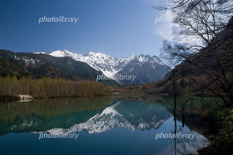 Photolibrary