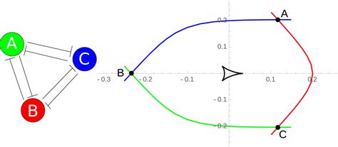 Geometry Of Gene Regulatory Dynamics PNAS