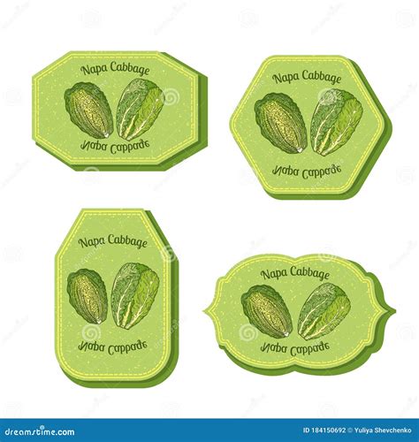 Rectangular Labels Vector Variety Monochrome Frames Set Different