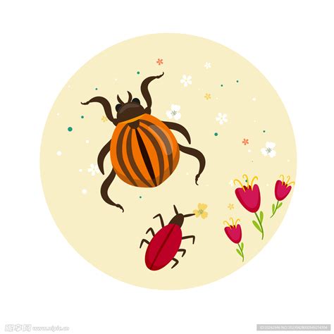 矢量昆虫 设计图 昆虫 生物世界 设计图库 昵图网