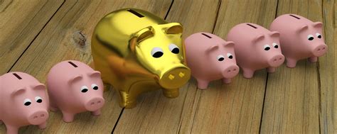 Le PEAC que vaut ce placement vert dédié aux jeunes Meilleurtaux Placement