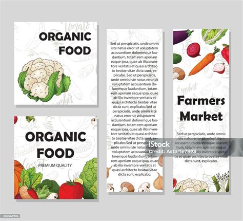 야채와 음식 디자인입니다 사탕 무 우와 무의 손으로 그려진된 밑그림입니다 카페에 대 한 카드 또는 포스터 디자인에 대 한 유기 신선한 제품 화려한 벡터 일러스트 레이 션 0