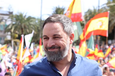 El Constitucional Admite A Trámite El Recurso De Vox Contra La