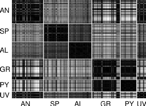 Classification Confusion Matrix For The Plsda Classifier Trained To