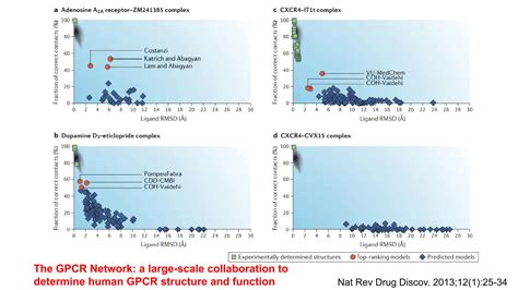 2 Gpcr Overviewpdfunderstanding Of The The Role Of G Coupled Receptors