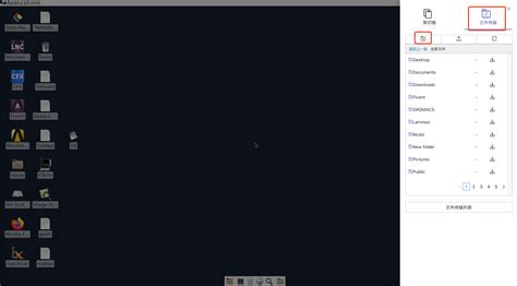 Linux系统安装软件 Fastone 技术手册