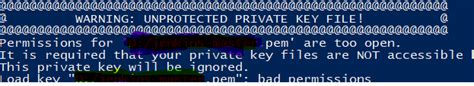 OpenSSH Using Private Key On Windows Unprotected Private Key File