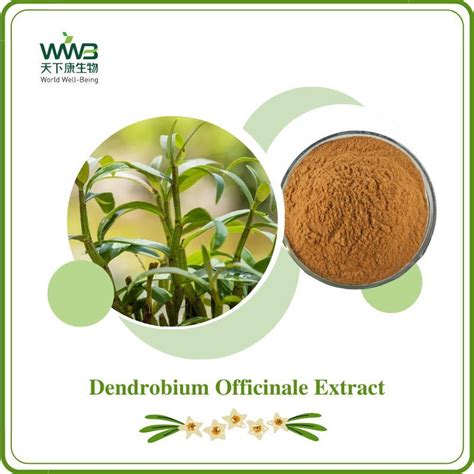 Dendrobium Officinale Extract Dendrobium Catenatum Herbal Extract And