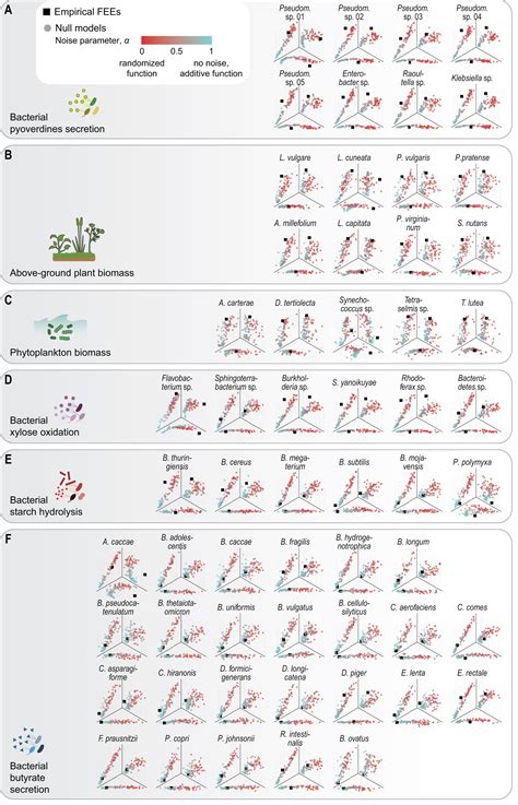 Global Epistasis And The Emergence Of Function In Microbial Consortia Cell