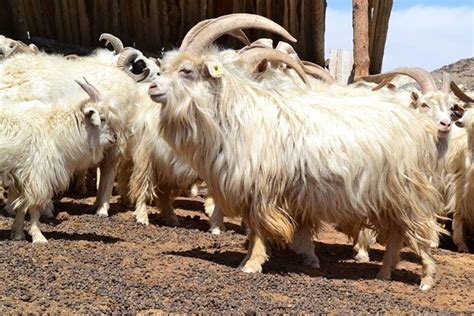 Нийгэм эдийн засаг