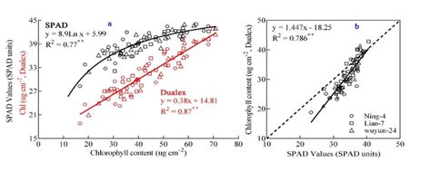 Scatterplot Between Spad Values And Leaf Chlorophyll Or Chl Values