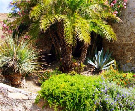 Piedra Volcánica Roja Para Jardín Consejos De Uso Y Decoración Para Un