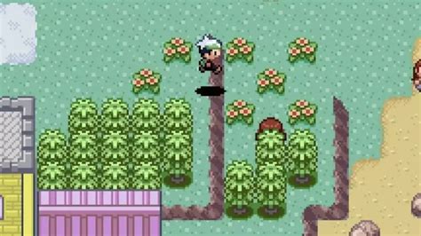 Pokémon Emerald Seaglass One Of The Best ‘mon Games In Years Fans Agree