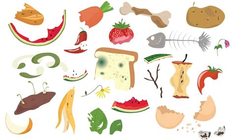 Lixo orgânico restos de comida casca de fruta caroço de maçã casca