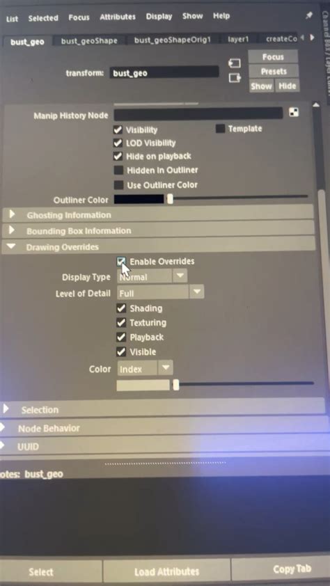 Drawing Overrides Not Working Rmaya