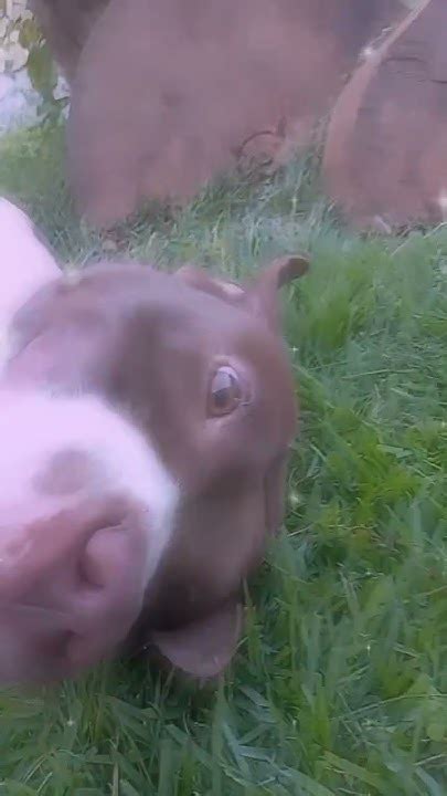 Aycha ♥️ Youtube