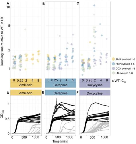 Growth Properties Of Evolved Clones Doubling Time Of Evolved Lineages