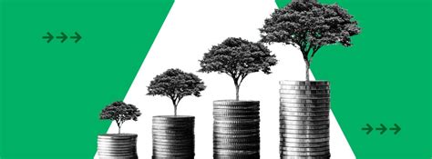 Unveiling The Truth Behind Greenwashing A Lethally False Promise