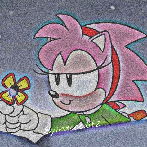Amy Rose Matching Icon Pfp With Sonic I Made From Sonic Menia