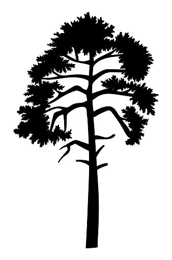 Illustration De Dessin Animé De Larbre Vert Disolement Au Fond Blanc