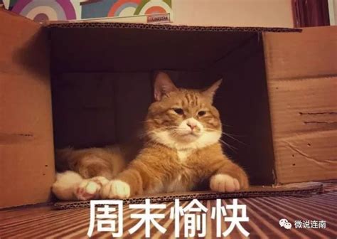 【天气预报】连南这几天晴晴晴、耍耍耍、晒晒晒图文