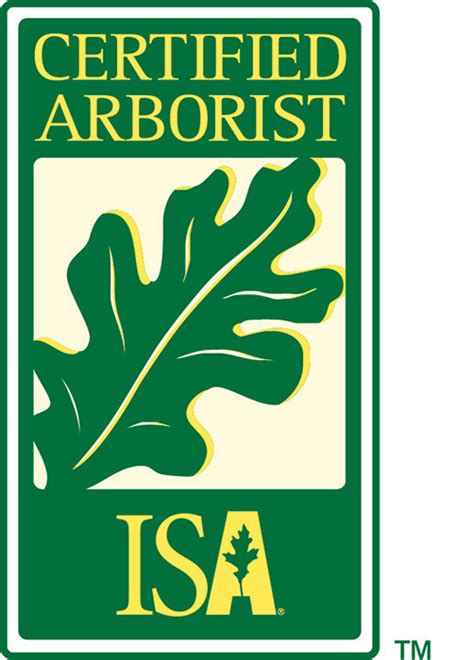 Appalachian Tree Care