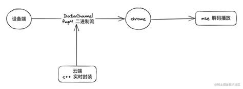 《webrtc系列》实战 Web 端支持 H265 硬解 知乎