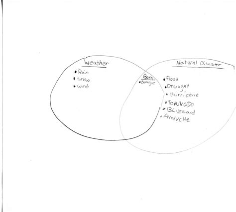 Work Sample And Reflective Statement 2 Portfolio