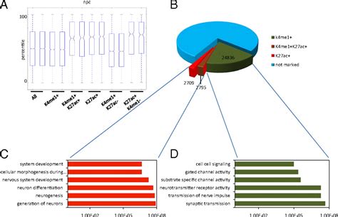 Histone H K Ac Separates Active From Poised Enhancers And Predicts Developmental State PNAS