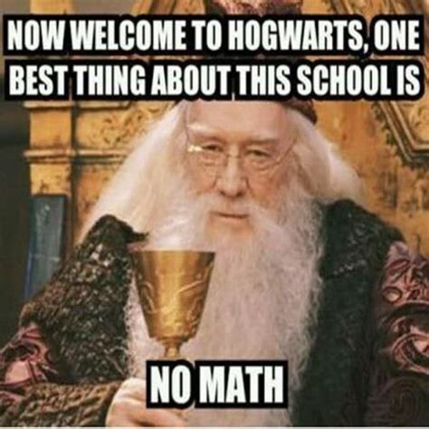 20 Years Of Harry Potter Get Rofl Ing With These 20 Crazy Memes Trending Gallery News The