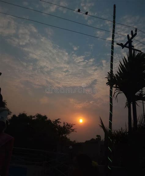 Sunset Picture Birds Beautiful Sky Trees Wallpaper Dreamstime