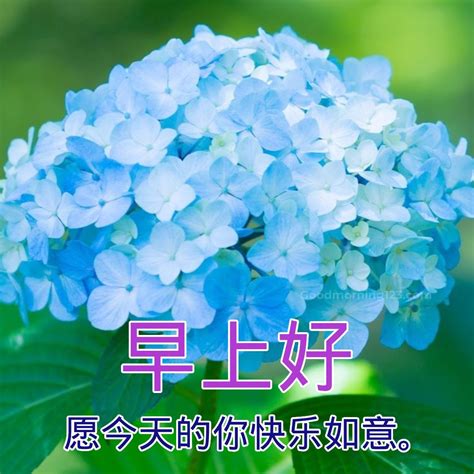 Good Morning Chinese Images And Messages