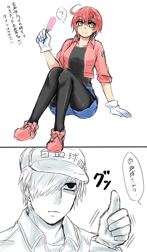 Hataraku Saibou Cells At Work Cr Sukubi Pareja Animé Anime