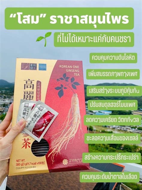 กล่องละ 450 บาท ราคาส่ง 30 กล่อง 350 บาท Ginseng Tea ชาโสมเกาหลี 100