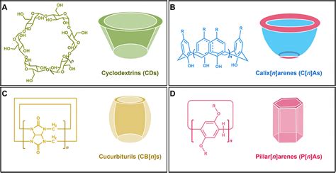 Supramolecular Host Guest Nanosystems For Overcoming Cancer Drug Resistance