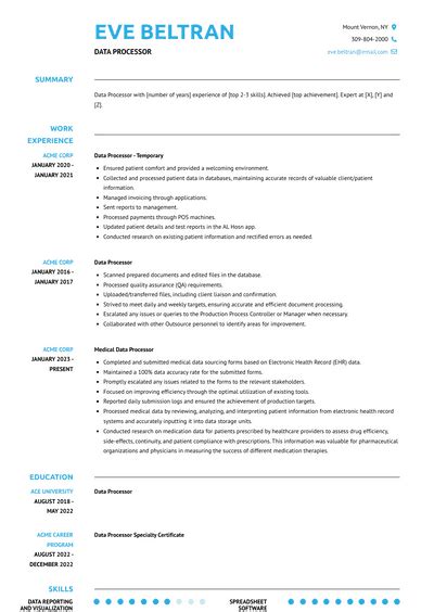 10 Data Processor Resume Examples That Land Jobs