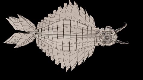 3d Anomalocaris Canadensis Turbosquid 1982926