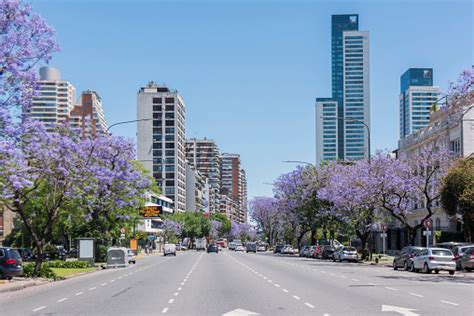 아르헨티나 부에노스 아이레스 시 Jacarandas 꽃 동안 Recoleta 지구 번가 피 거로 아 Alcorta의 보기
