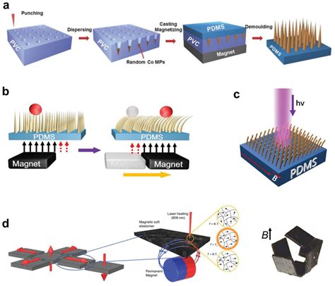 Functional PDMS Elastomers Bulk Composites Surface Engineering And