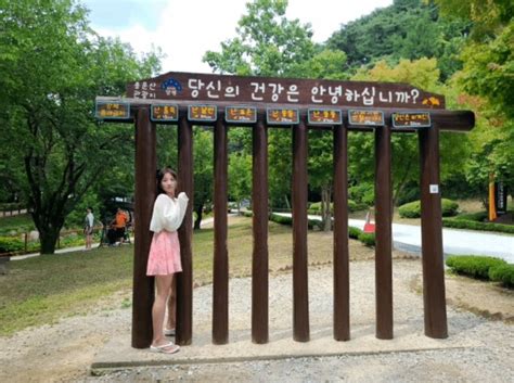 서울근교 경기도 양평 가을 가볼만한곳 용문산 용문사 은행나무 가족여행 🩵 네이버 블로그