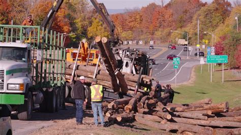 Logging Trailer Crashes In North Greenbush Wnyt Newschannel