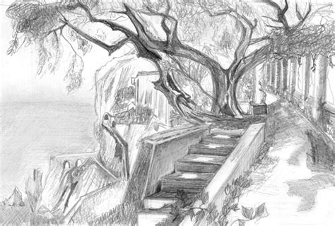 Violine Exercice De Dessin