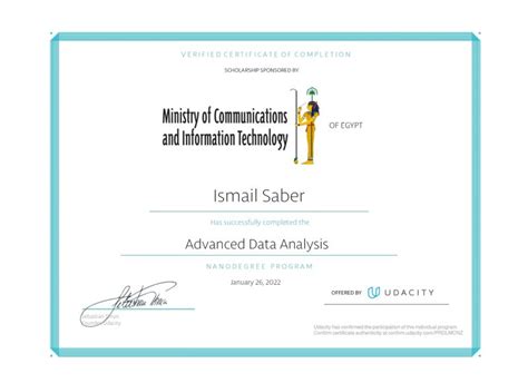 Dataanalysis Ismail Saber
