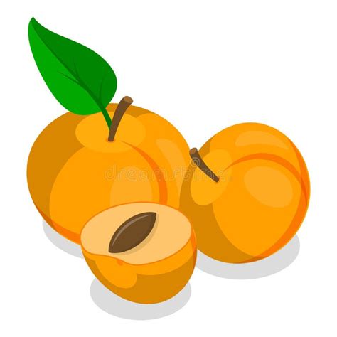 3D Isometric Flat Vector Set of Apricots and Elements. Item 1 Stock ...
