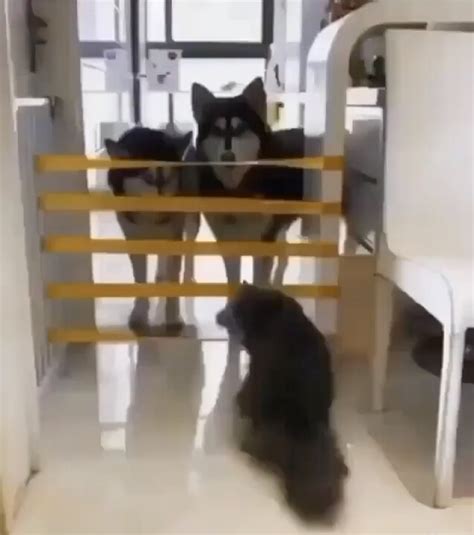 Arghya Sengupta Posted On Linkedin