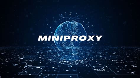 Miniproxy Unlocking Access And Privacy In The Digital Realm