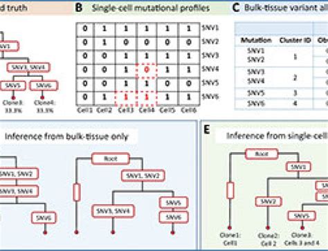 mir prefer an accurate fast and easy to use plant mirna prediction