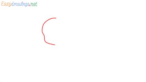 How To Draw Raichu Step By Step 13 Easy Phase