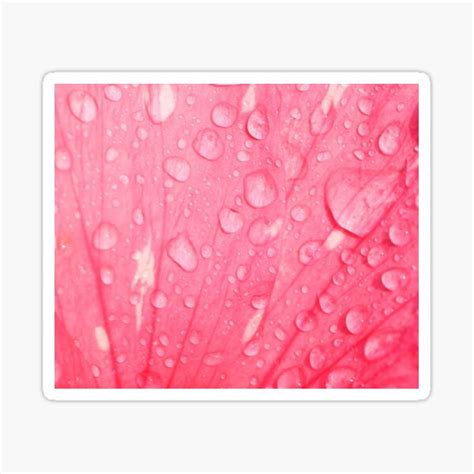 Raindrops Sticker For Sale By Fcseller Redbubble