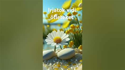 Írjatok Vidi ötleteket Pls Youtube